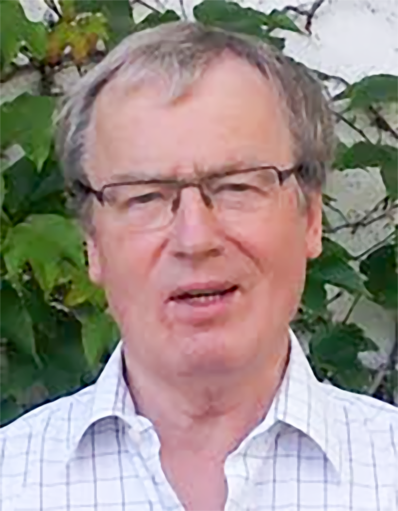 Gotthard Fuchs - Sinn und Gesellschaft