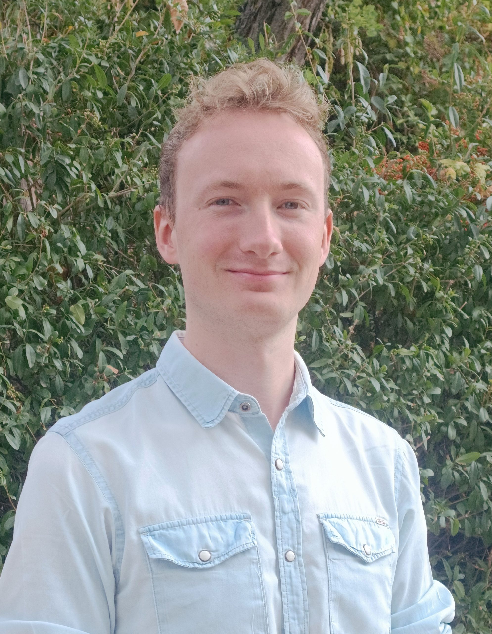 Max Berger - Sinn und Gesellschaft